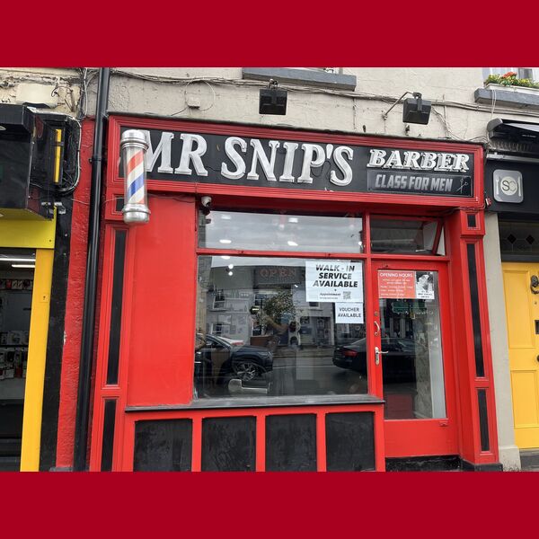 Mr Snips